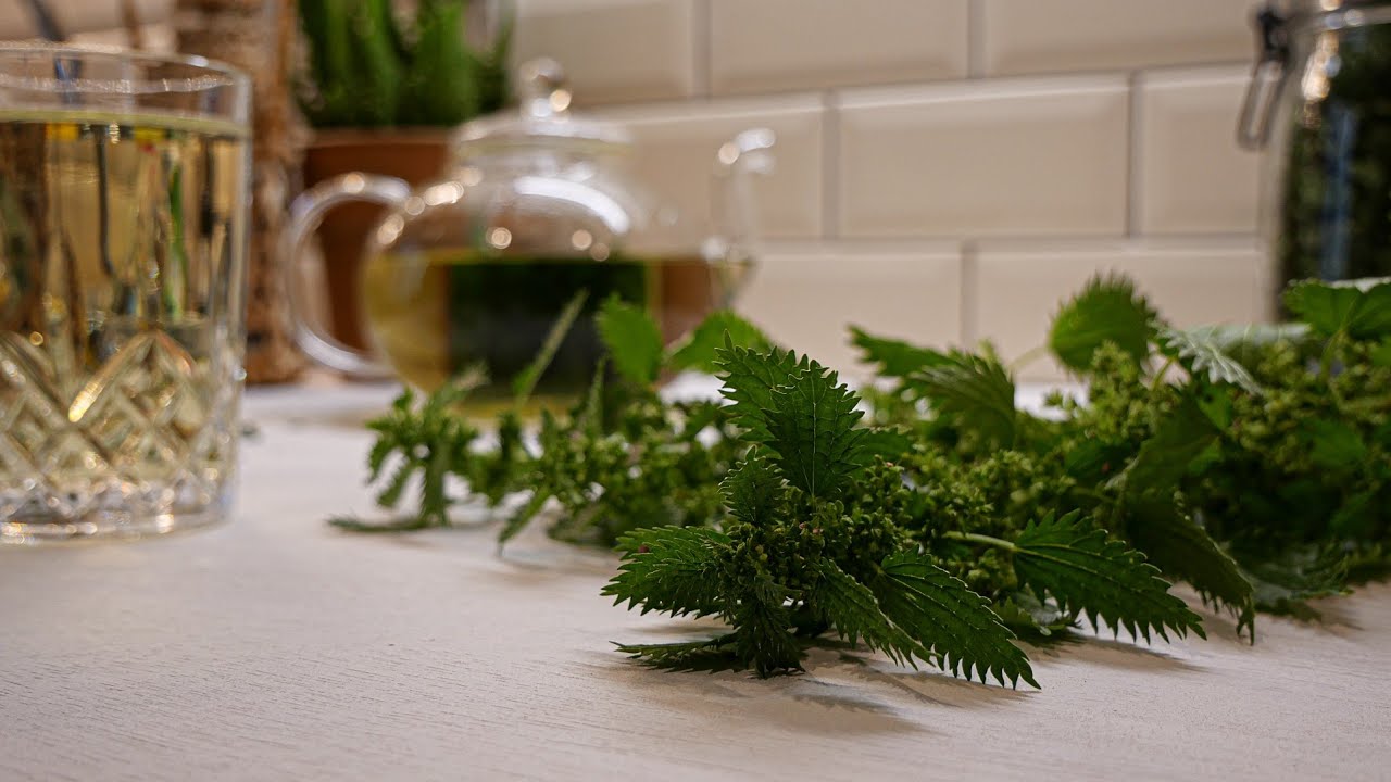 How to make Stinging Nettle Tea - YouTube