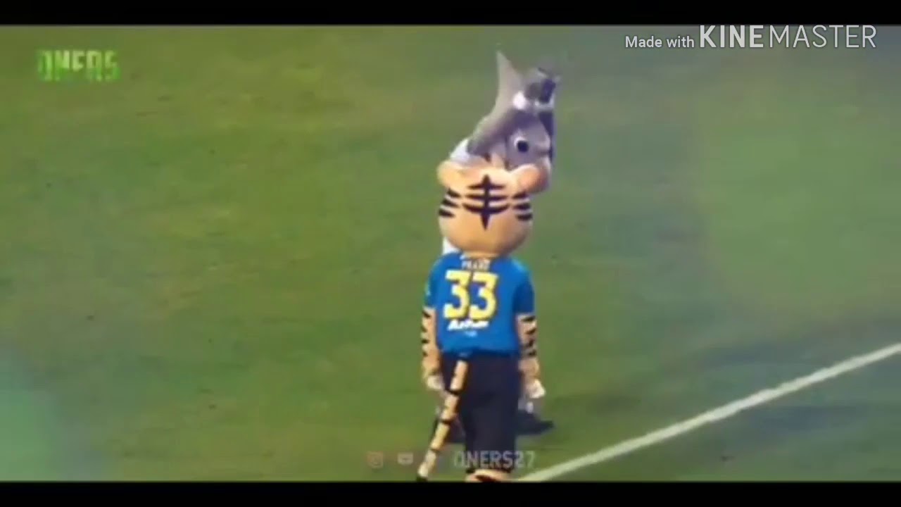 Aksi lucu. Maskot persib dan persebaya - YouTube