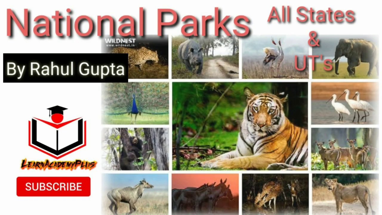 National Parks In India All National Parks State Wise Important national-parks-in-india-all-national-parks-state-wise-important