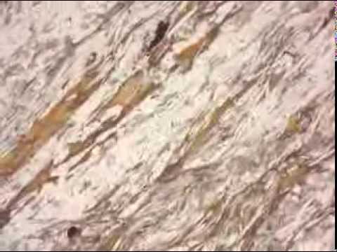 Biotite muscovite schist (PPL) - YouTube