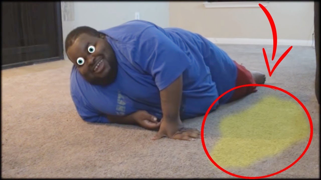 SEFUS PEED ON THE CARPET! - YouTube