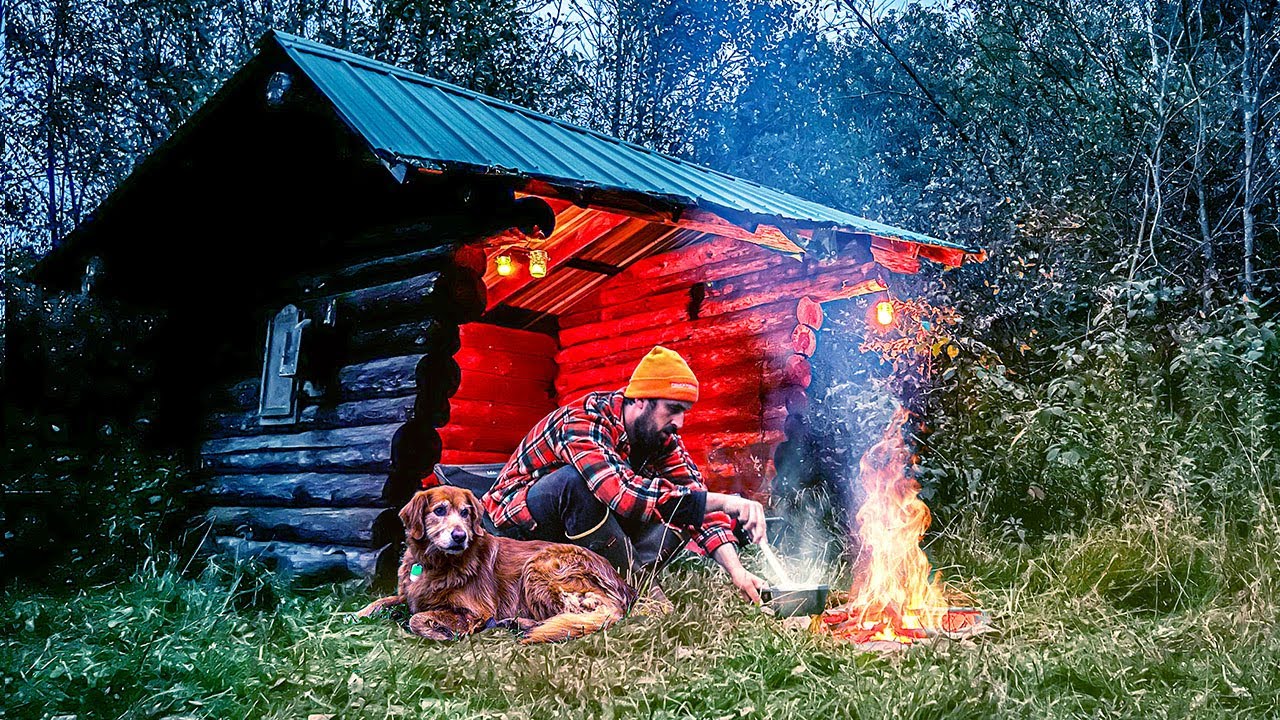 FREEZING COLD NIGHT IN SURVIVAL CABIN...Bears Lurking - YouTube