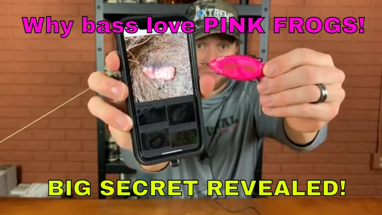 Bass fishing with pink frogs? BIG secret revealed!! - YouTube