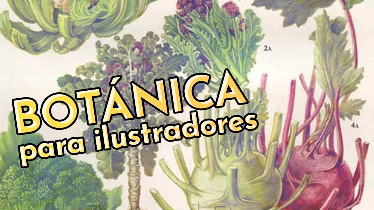 CURSO de Ilustración Botánica - Técnicas - YouTube