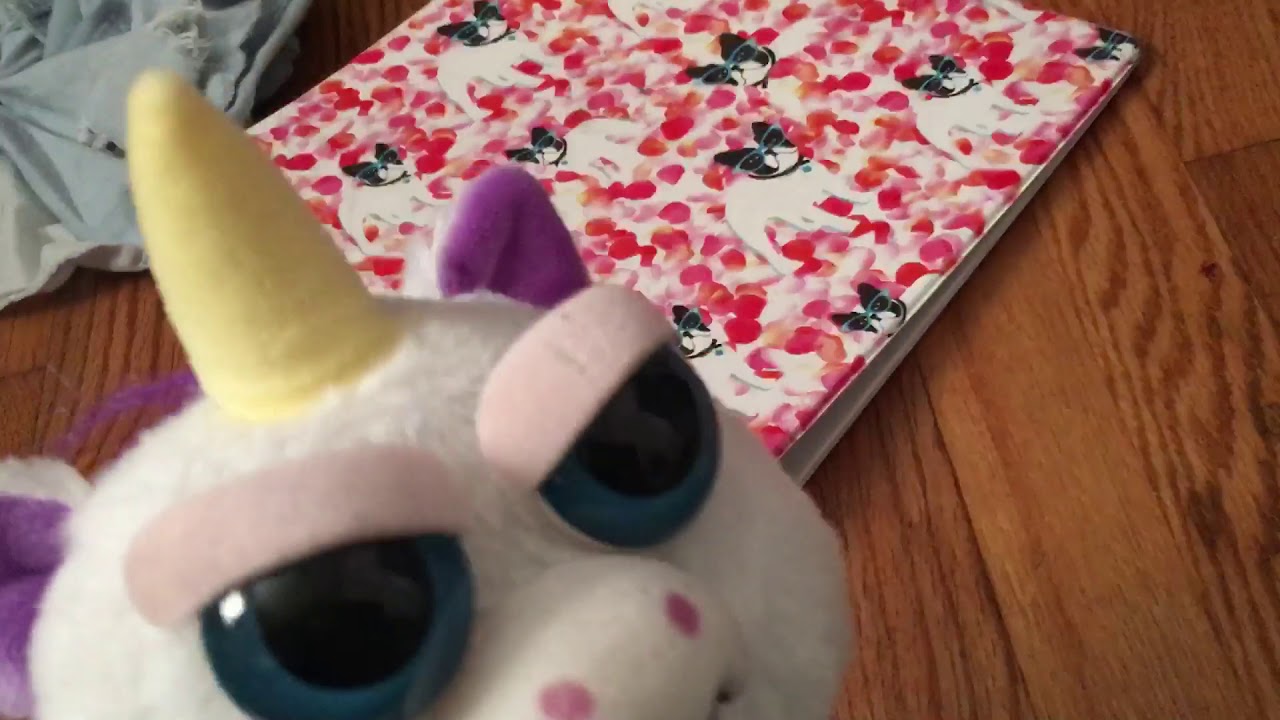 Feisty Fan Film for Feisty Films (feel free to use in a feisty pets ...