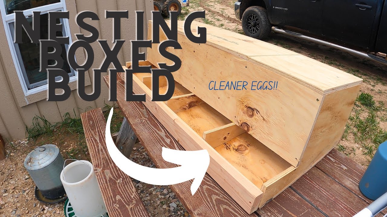 Nesting Boxes Build - YouTube