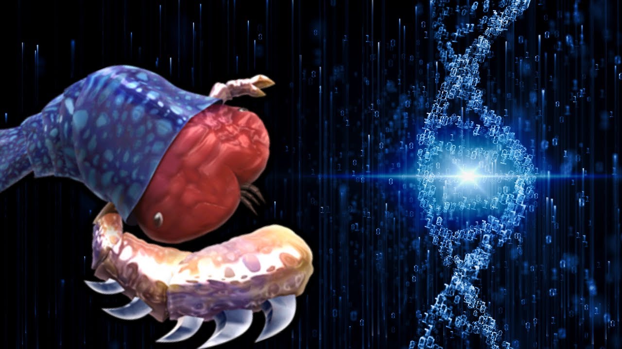 World of Pikmin: Creep Crab Family - YouTube