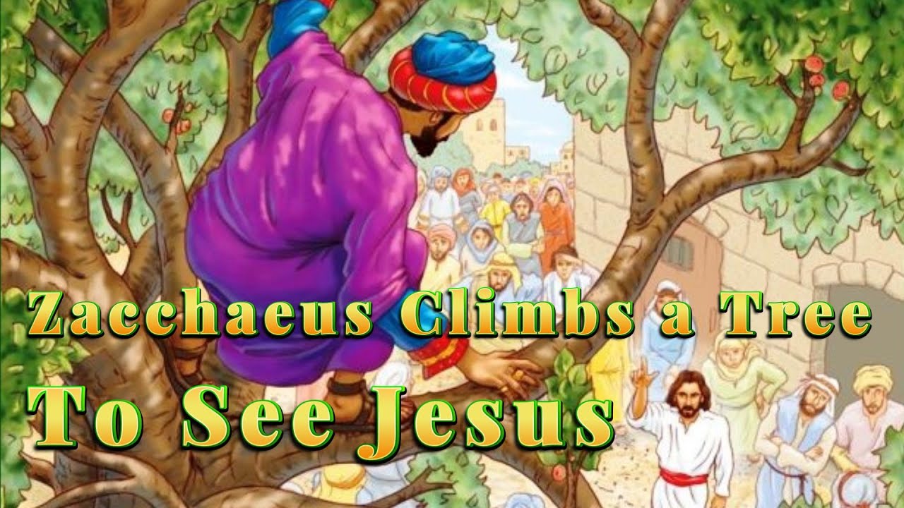 Zacchaeus Climbs a Tree to See Jesus - YouTube