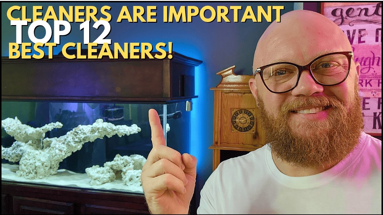 Best Clean Up Crew for Saltwater Aquariums - Some you've never heard of ...