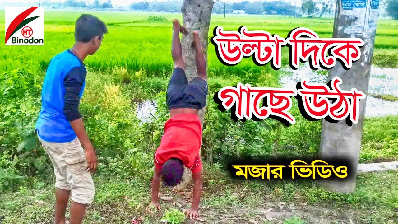 উল্টা দিকে গাছে উঠা || অস্থির ফানি || Bangla Comedy Video 2018 || HT Binodon - YouTube