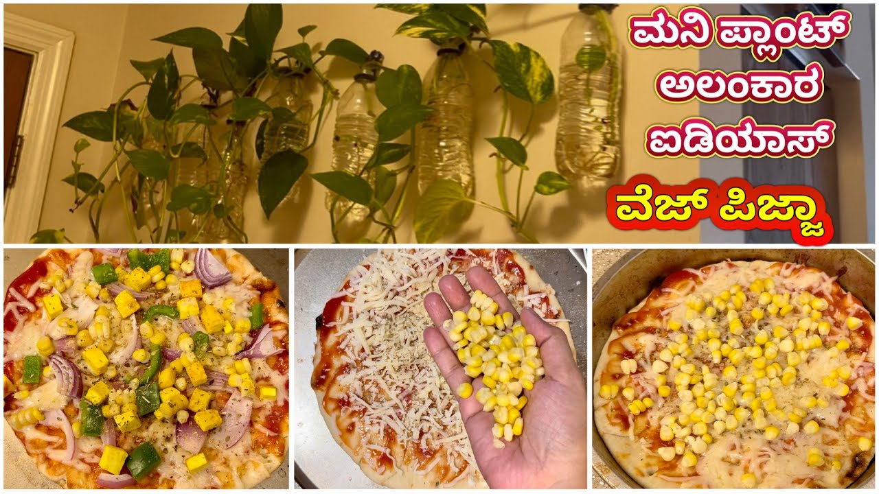 Money Plant Hanging Idea|Pothos Plant#Money Plant Decor Ideas| Homemade ...