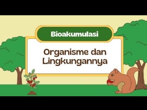 Bahaya Tersembunyi di Rantai Makanan: Apa Itu Bioakumulasi? - YouTube