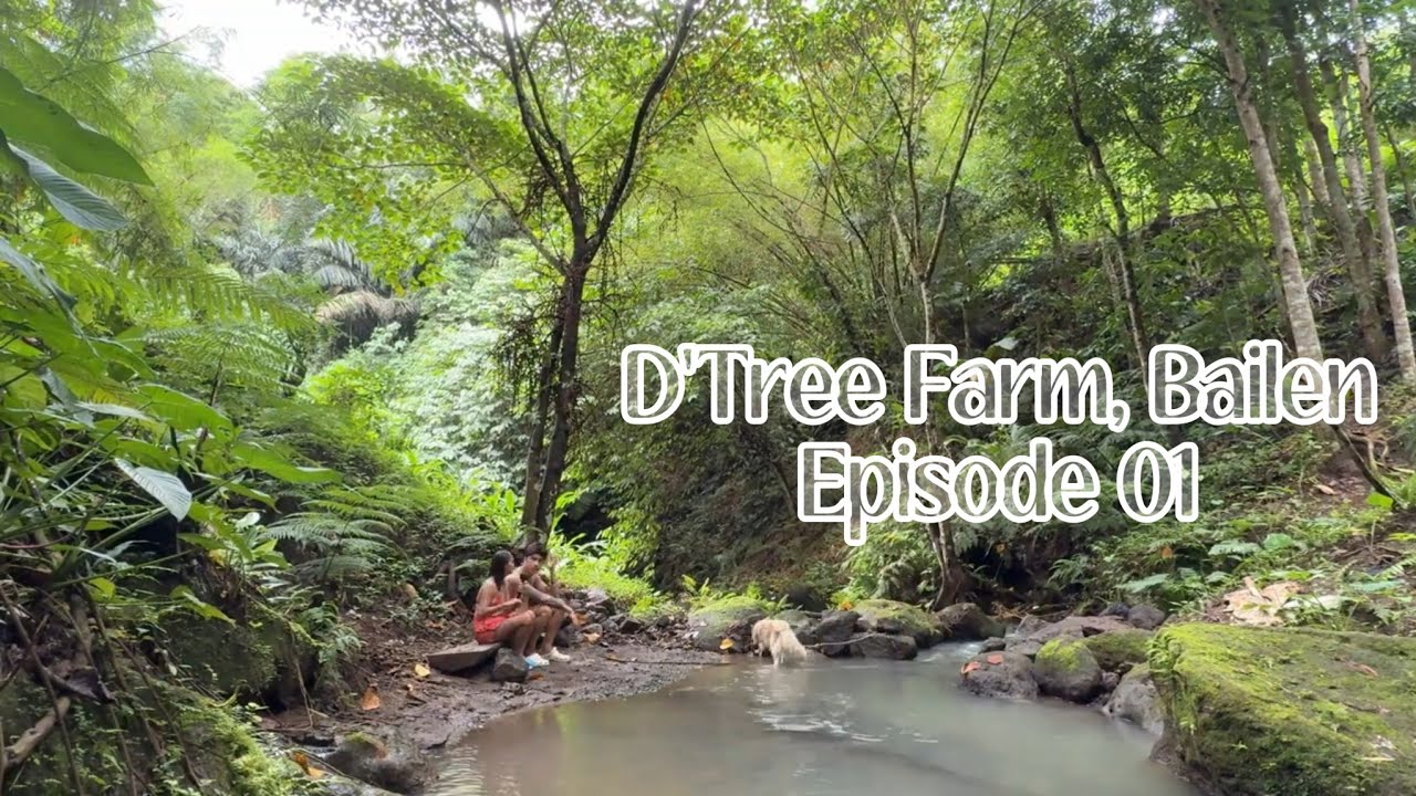 4D3N sa D'Tree Farm, Bailen | Camping Vlog | EP01 | Paraiso Na May ...
