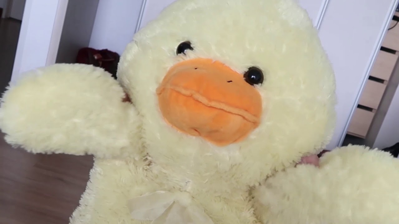 AUXILIO ME DESMAYO - YouTube