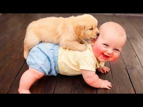 Try Not To Laugh: Cute Baby & Dog Moments That Will Melt Your Heart 😂🐶👶 | Baby Hub