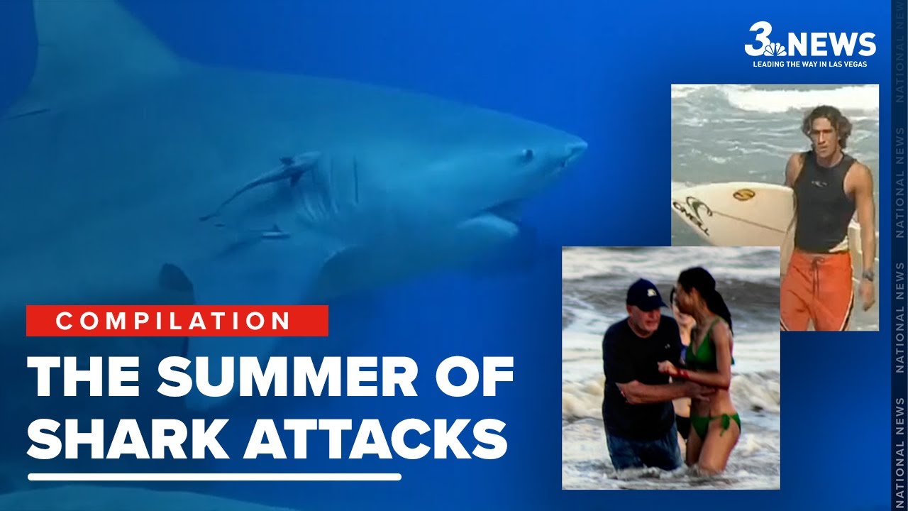 Shark week turns into shark month as people across the country ...