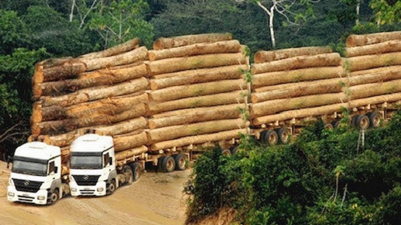 Latest Technology Automatic Wood Sawmill Smart Machine - Extreme ...