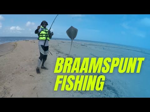 Fishing at Braamspunt
