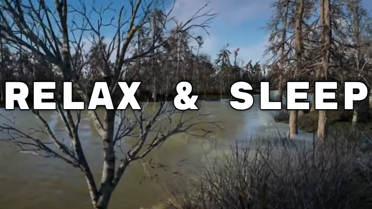 RELAX & SLEEP during a CLEAR WINDY DAY in the deep BAYOU SWAMP, LA ...
