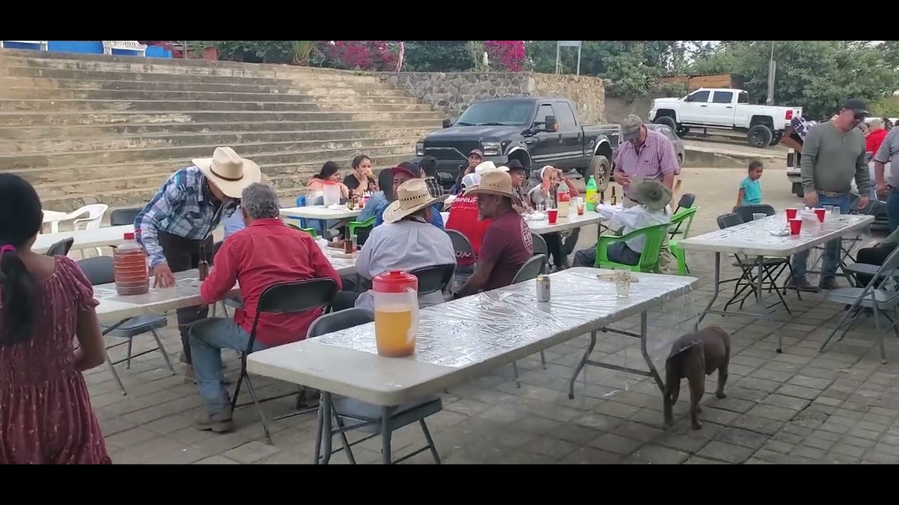 ya no vendra - YouTube