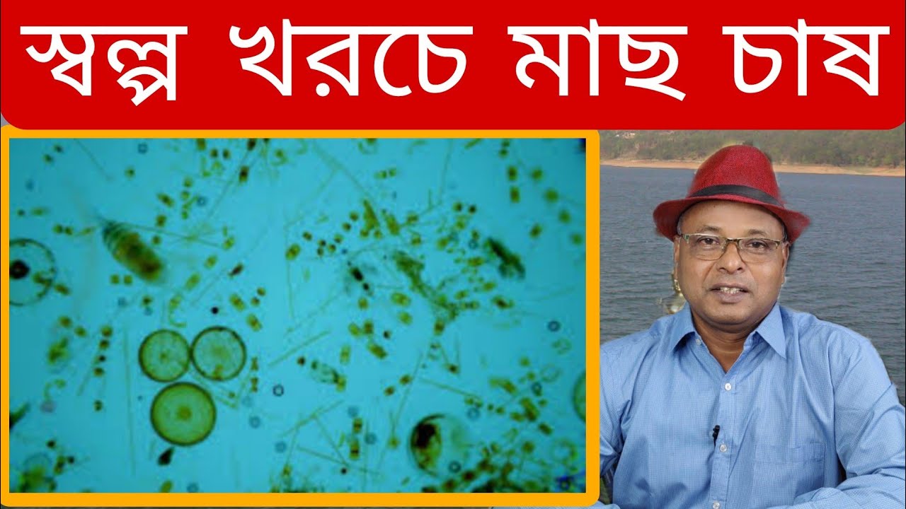 Plankton Based Fish Farming Through Organic Juice Application #plankton ...