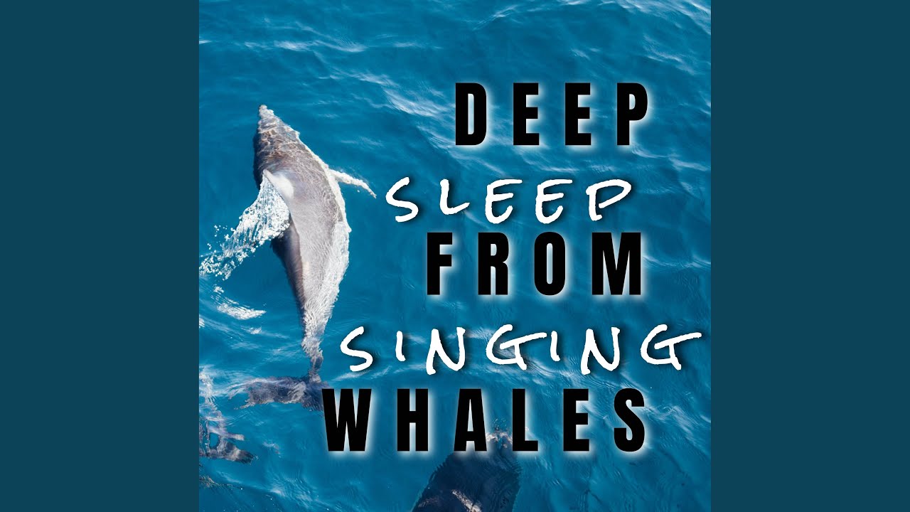 Relaxing Whale Song - YouTube Music