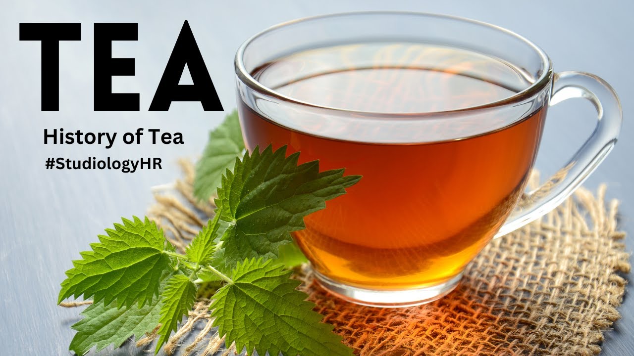 The History of Tea | The Origin Of Tea | Tea's Ancient Beginnings in ...