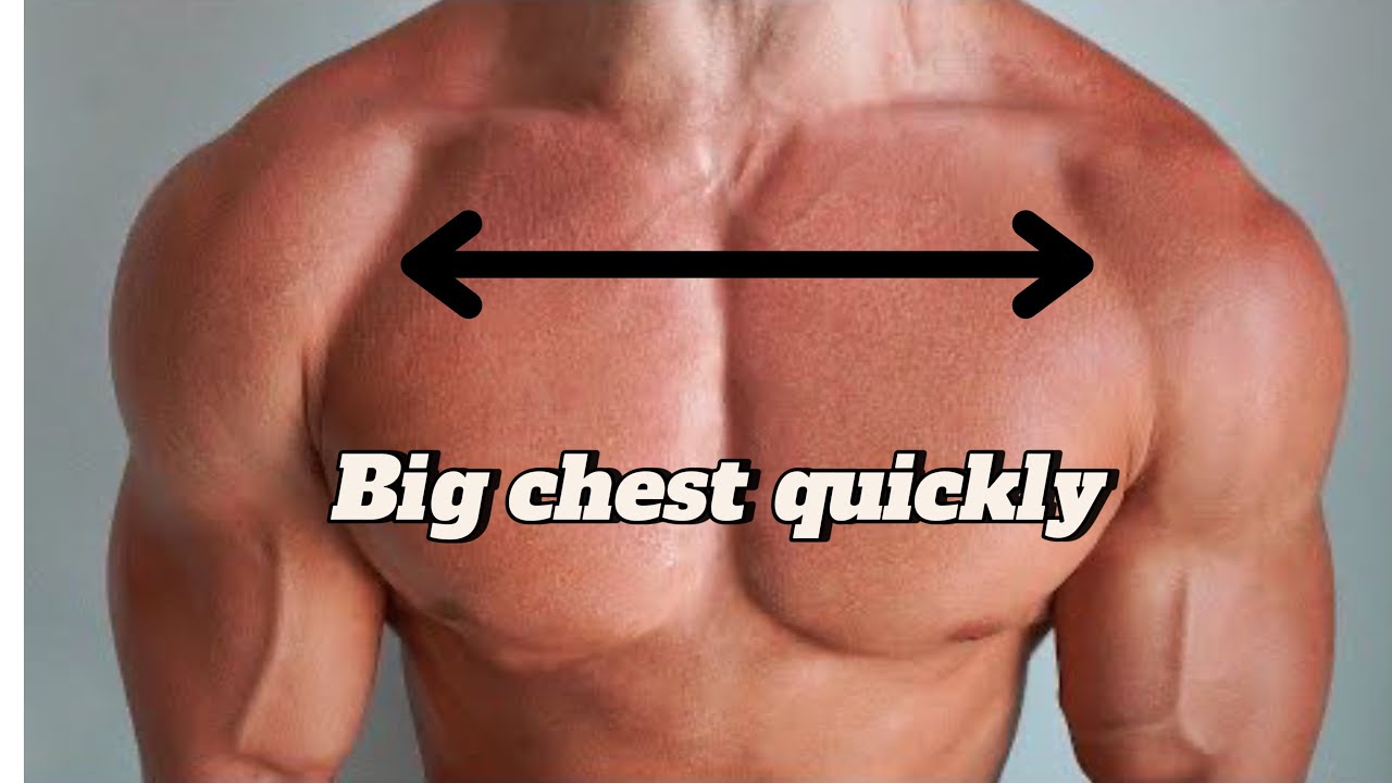 Train your chest with these effective exercises - YouTube