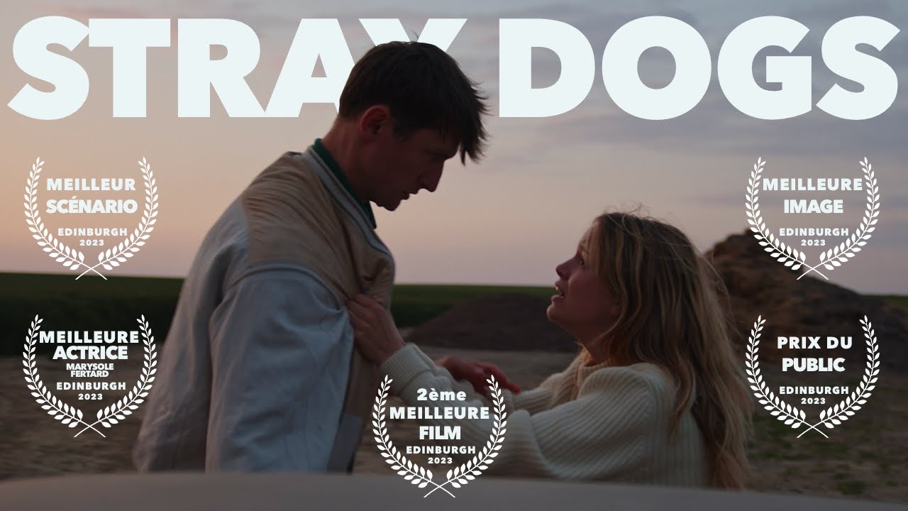 Stray Dogs (short Film) - YouTube