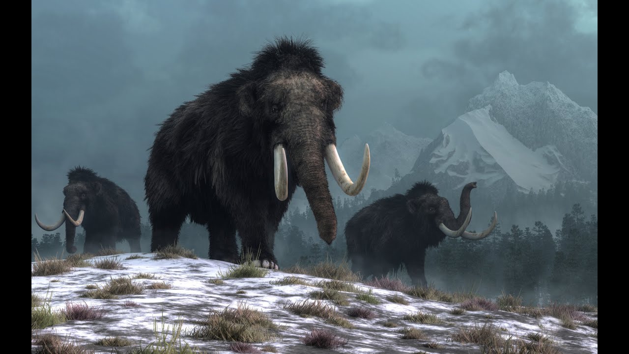 ICE AGE & ANTIQUITY OF MAN - YouTube