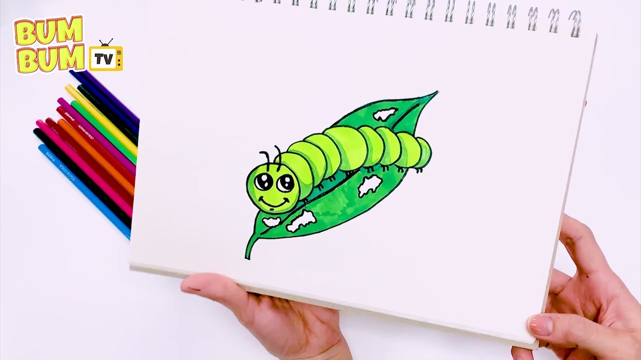 Bum Bum TV | Hướng Dẫn Vẽ Con Sâu Đơn Giản | Vẽ Theo Chủ Đề Động vật ...