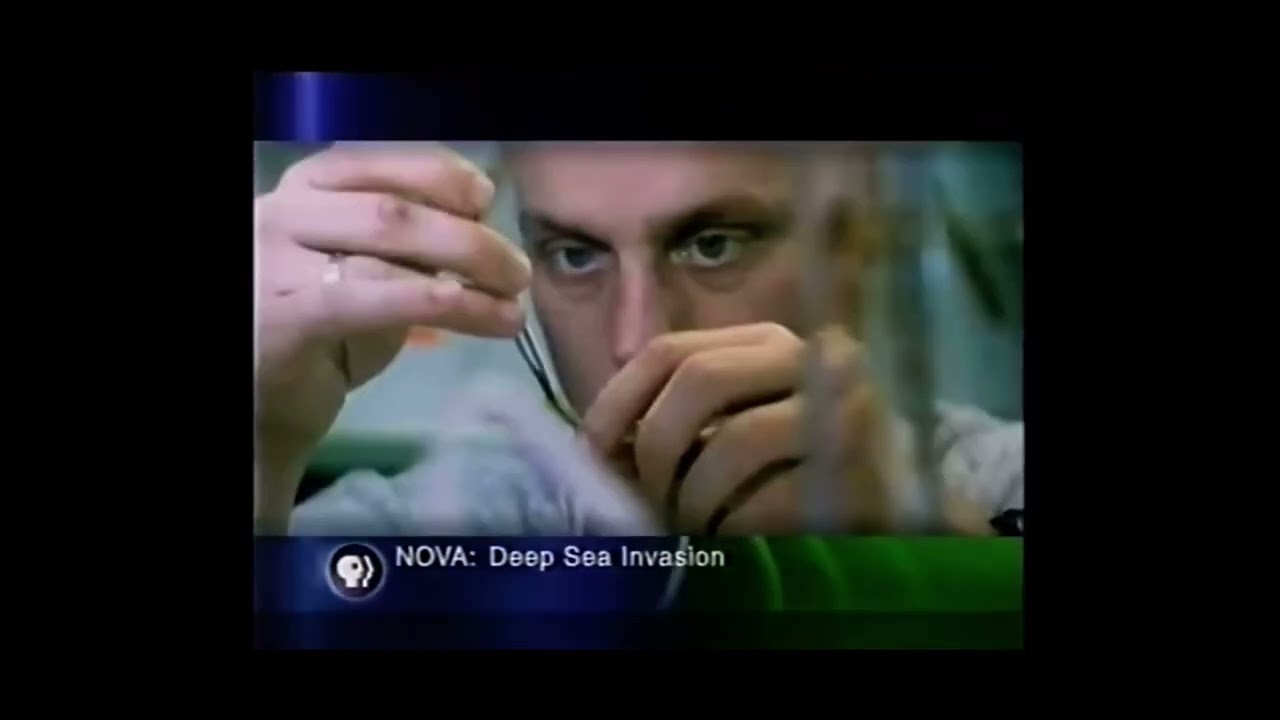NOVA: Deep Sea Invasion Advert (2003) - YouTube