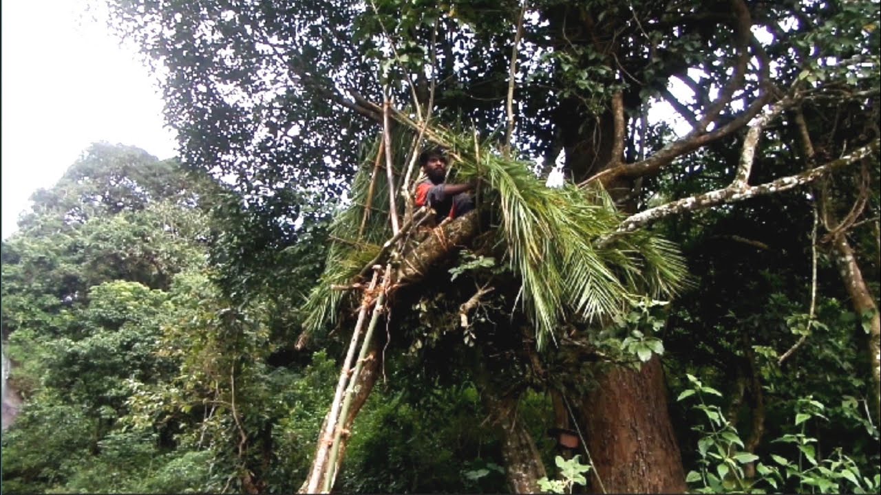 Tree house||oneday life in the jungle||Adavi ramudu village vlogs ...