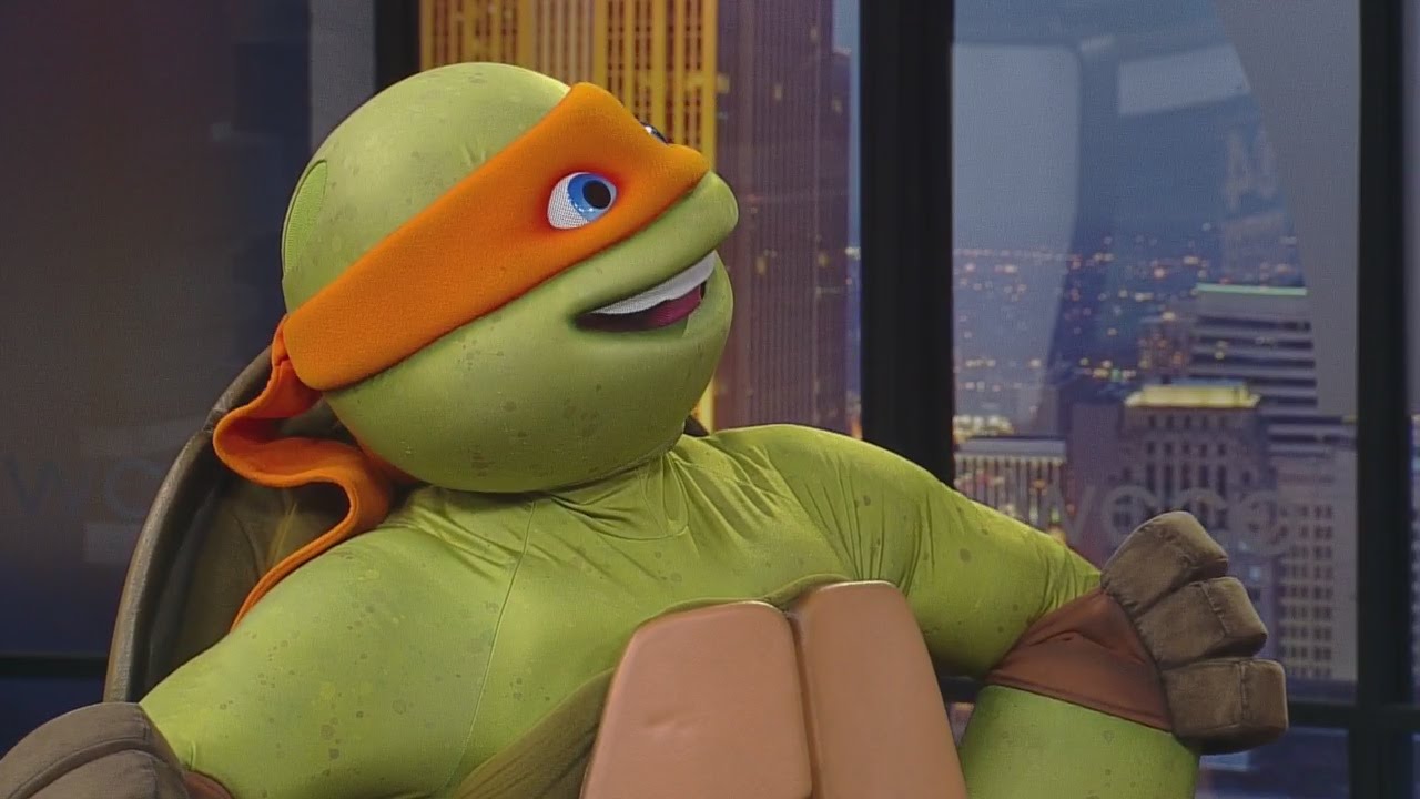 It's World Turtle Day! - YouTube