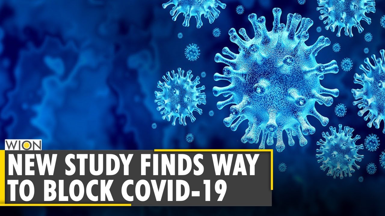 Study: Orally administered drug 'TEMPOL' can inhibit COVID-19's ...