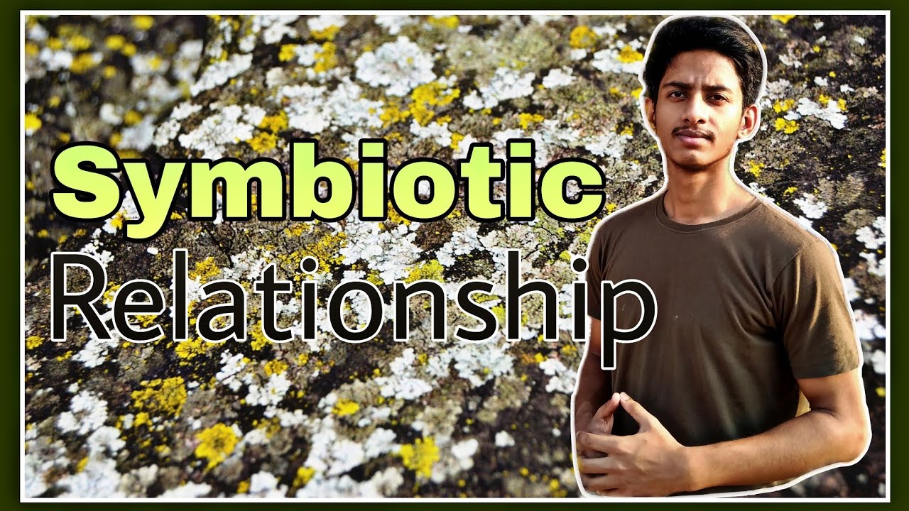 Symbiotic Relationship In Hindi What Is Symbiotic Relationship YouTube symbiotic-relationship-in-hindi-what-is-symbiotic-relationship-youtube