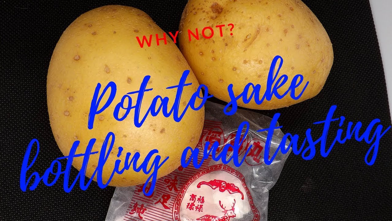 potato sake experiment bottling and results - YouTube