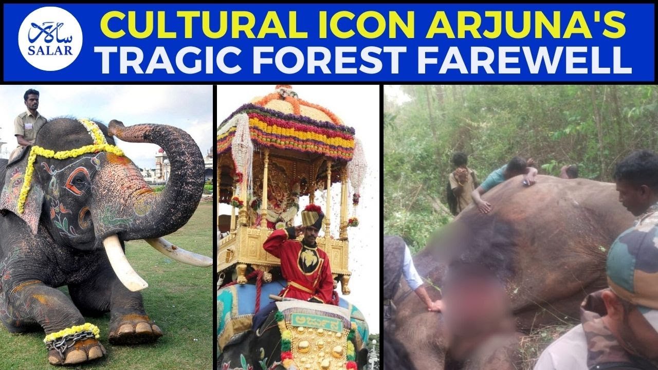 Renowned Elephant Arjuna Dies in Tragic Forest Clash, Protests ...