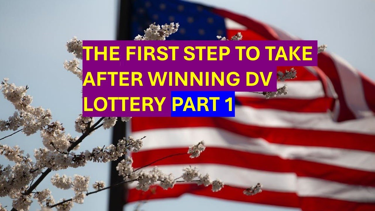 What's next after winning DV-2025 Diversity Visa Lottery: Fill the ...