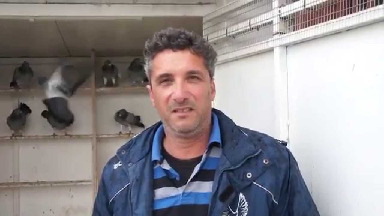 ΠΕΡΙΣΤΕΡΙΑ ΒΟΥΤΕΣ ΤΑ ΟΡΘΙΑ ΤΟΥ ΓΑΤΟΥ 2015 - YouTube