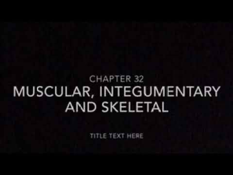 Chapter 32 : Skeletal, Muscular, and Integumentary System - YouTube