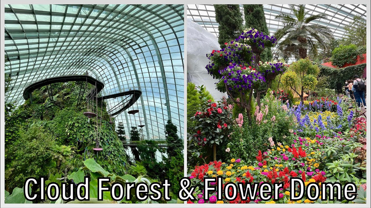 Singapore's Cloud Forest and Flower Dome: Worth It? - YouTube
