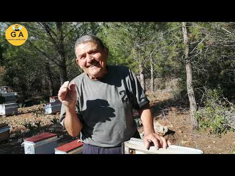 Bu aparat arının OĞULA gitmesini engelliyor.beekeeping. Arıçılıq. arıcılık.
