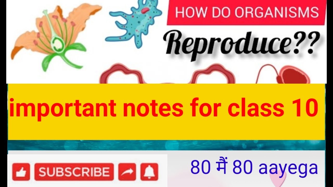 Class 10 Science Chapter 8 Notes Cbse Class 10 Science Chapter 8 How
