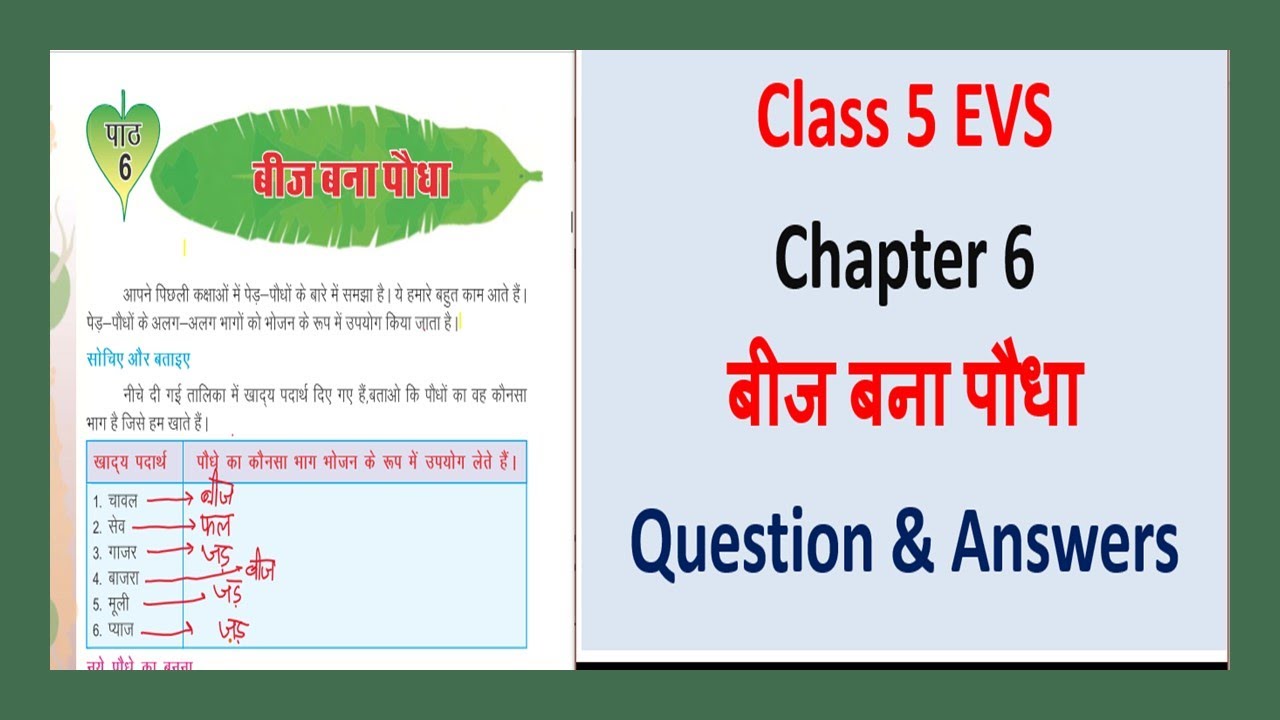 RBSE Class 5 EVS Chapter 6 Question Answers YouTube rbse-class-5-evs-chapter-6-question-answers-youtube