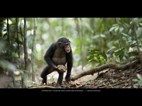 Tiny Level Editor 3D