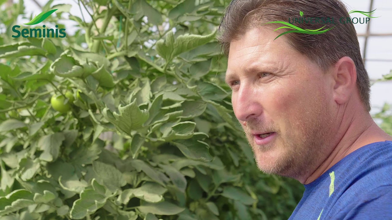 Eveniment Seminis, comuna MATCA 31 08 2017 Galati - YouTube