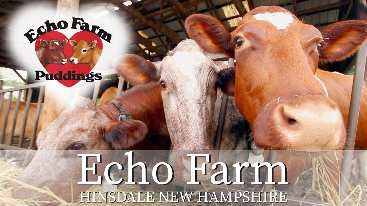 Echo Farm - Hinsdale New Hampshire - YouTube