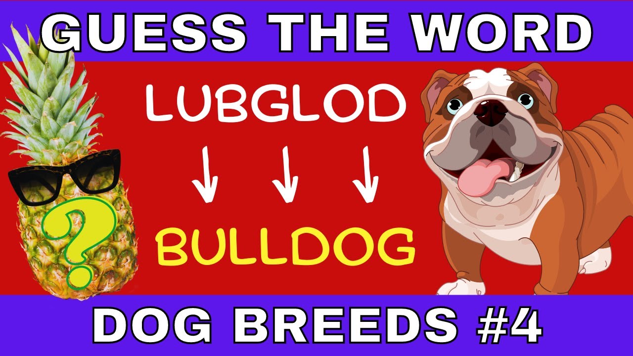 WORD SCRAMBLE GAME - DOG BREEDS Quiz #4: Jumbled Letter Puzzle. - YouTube