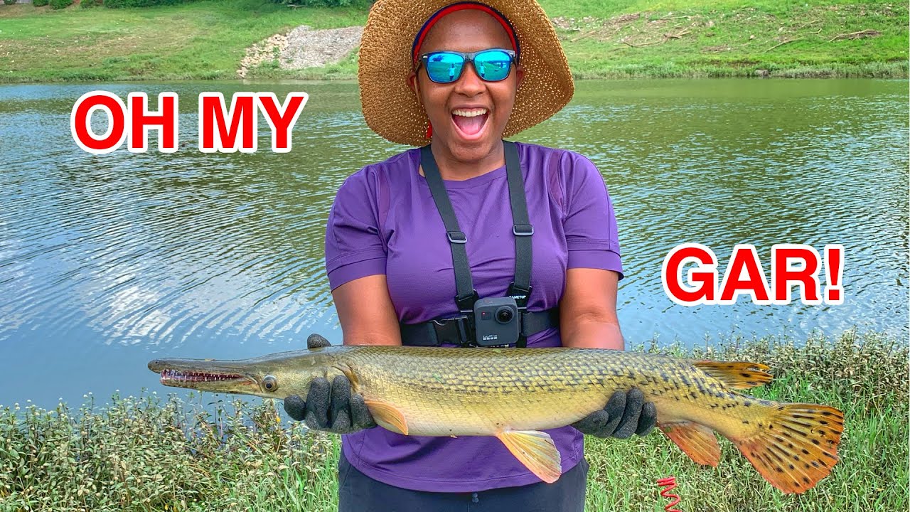 We Found An Alligator Gar Honeyhole! Fishing for Alligator Gar and Carp ...